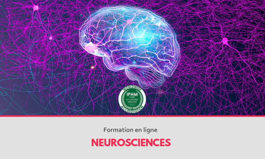 Formation en Neurosciences - Formation certifiante